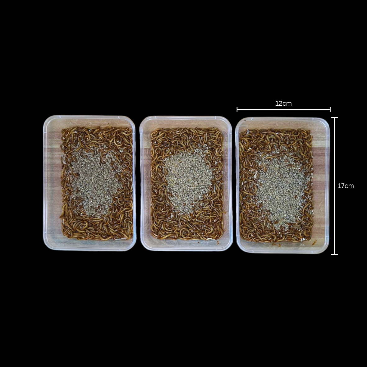Calcium+ Mealworms – Werms.Inc