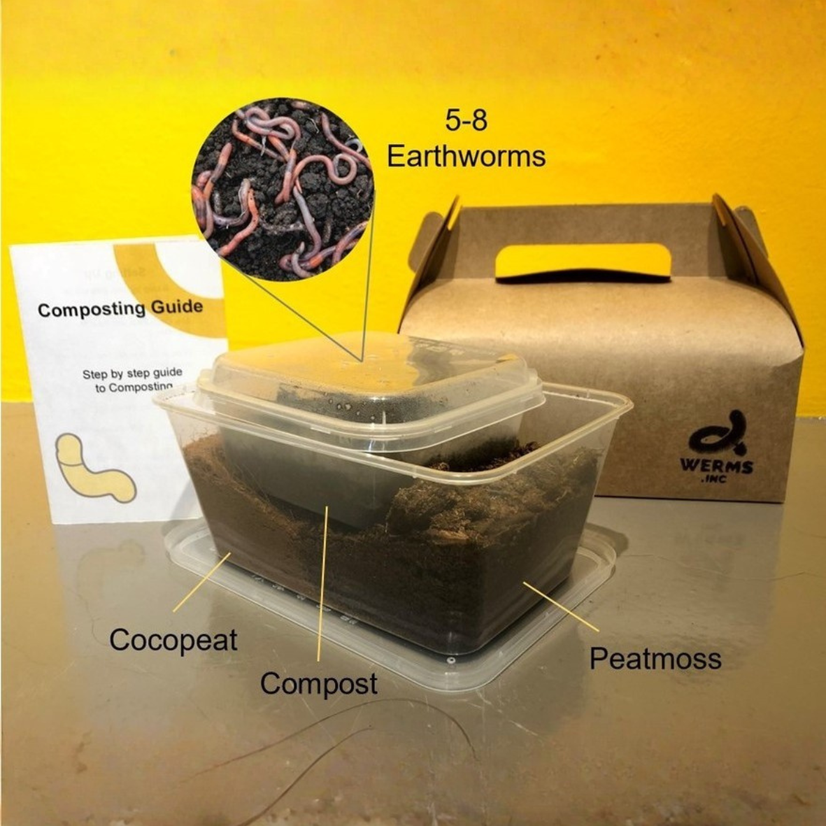 Vermicomposting Starter Kit – Werms.Inc