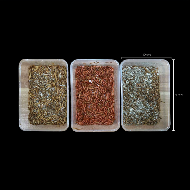 Variety Pack Mealworms – Werms.Inc